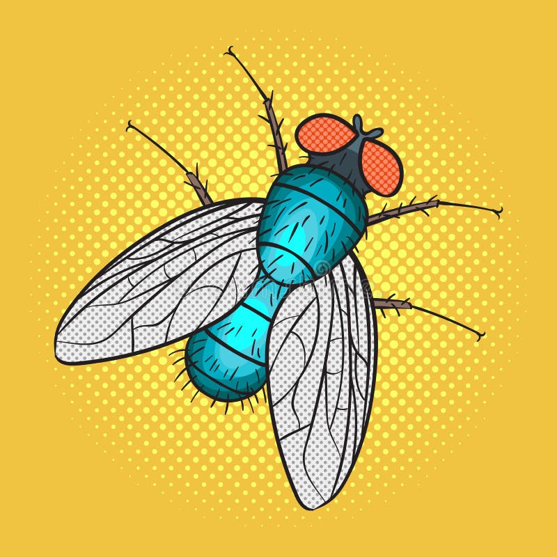 Vector El Ejemplo Dibujado Mano Del Arte Pop De La Mosca Ilustración ...
