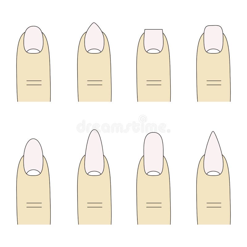 Vector El Ejemplo, Diversas Formas, Formas De Clavos Manicura ...