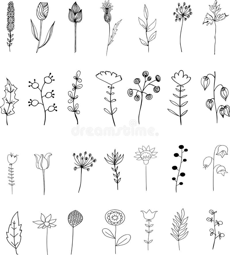 Vector Elements. Set of Plants and Flowers. Outline Sketched Style ...