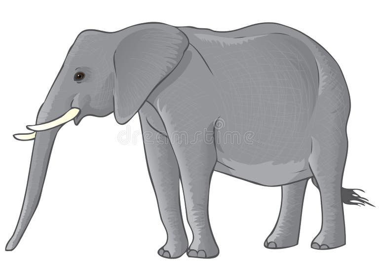 Realistic Elephant Stock Illustrations – 7,706 Realistic Elephant Stock ...