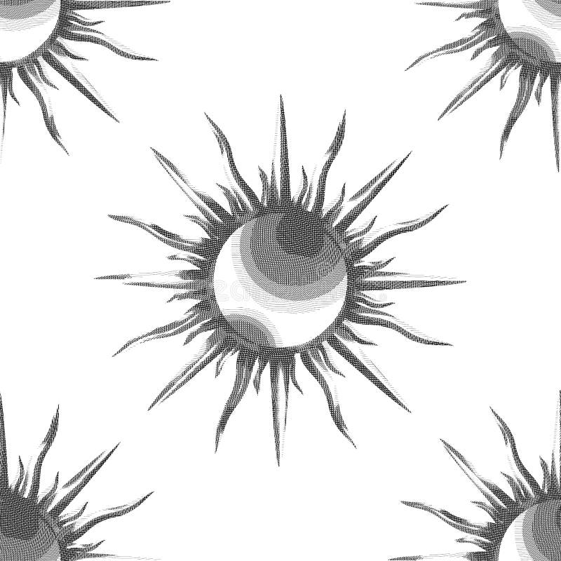 Vector Engraving Seamless Pattern with Sun Stock Vector - Illustration ...