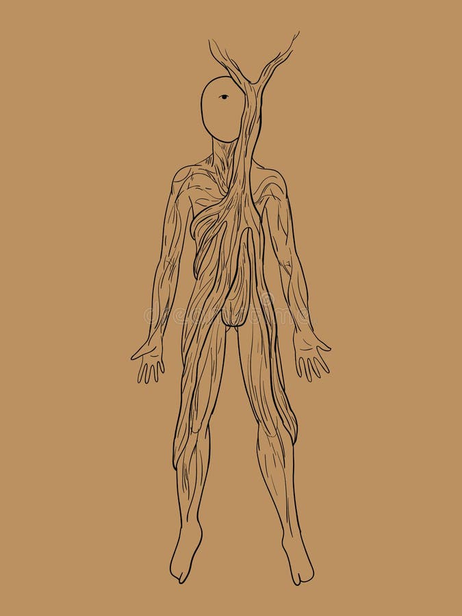 Vector Esoteric Illustration of a Human in Graphics. Roots Body and the ...