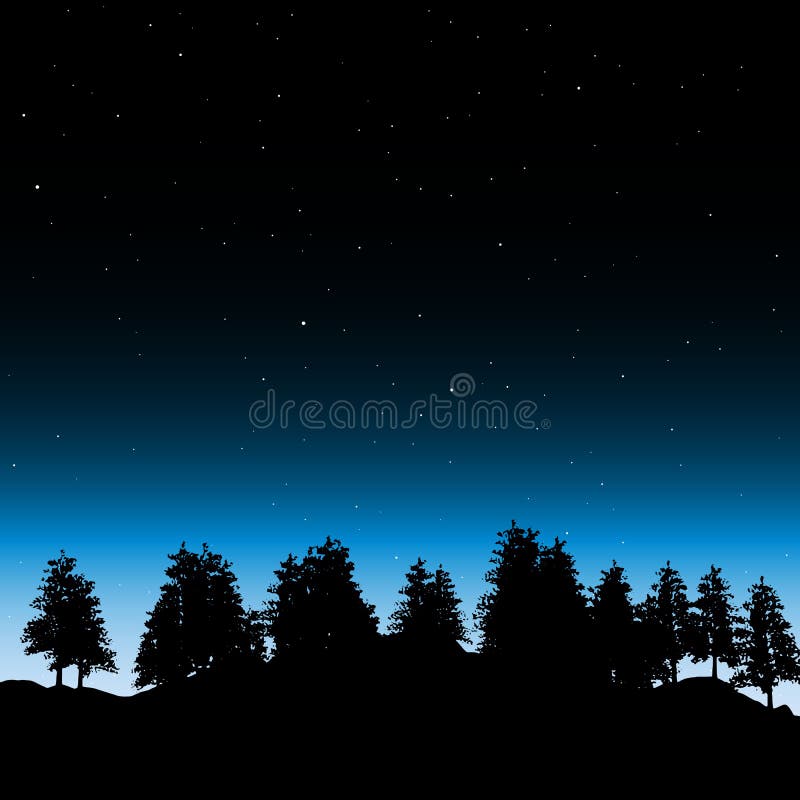 Vector Evening Contour Black and Landscape Trees Stock Vector ...