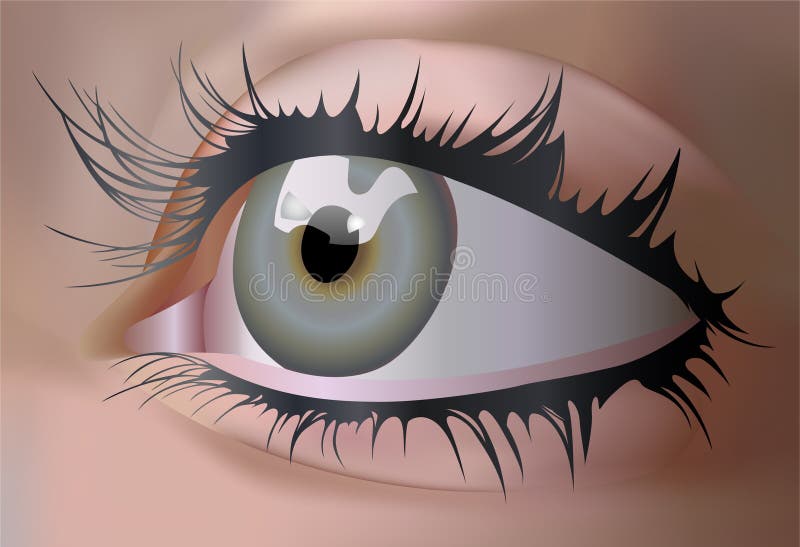 Eye Vector Art Stock Illustrations – 135,812 Eye Vector Art Stock ...
