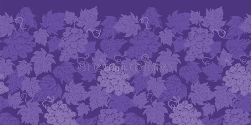 Vector Faded Texture Purple Monochrome Grape Vine Illustration with ...
