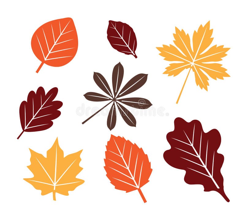 Vector Fall Leaves, Fall, Autumn Leaves. Fall Background. Stock Vector ...