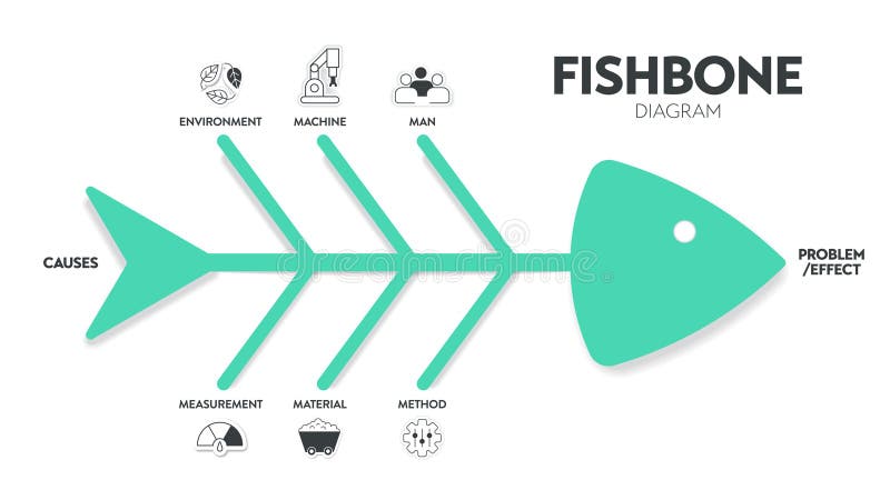 The Vector Featured a Fish Skeleton. a Template is a Tool To Analyze ...