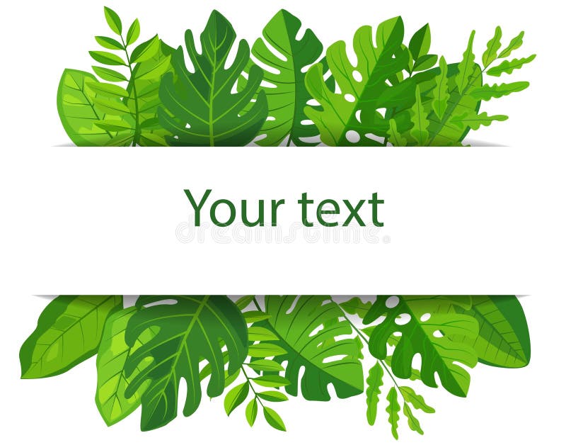 Vector Features a Vibrant Green Leaves Frame Surrounding a Blank White ...