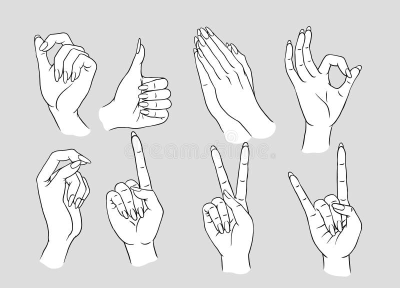 Female Hand Pose Set Hand Drawn Stock Vector - Illustration of thumb ...