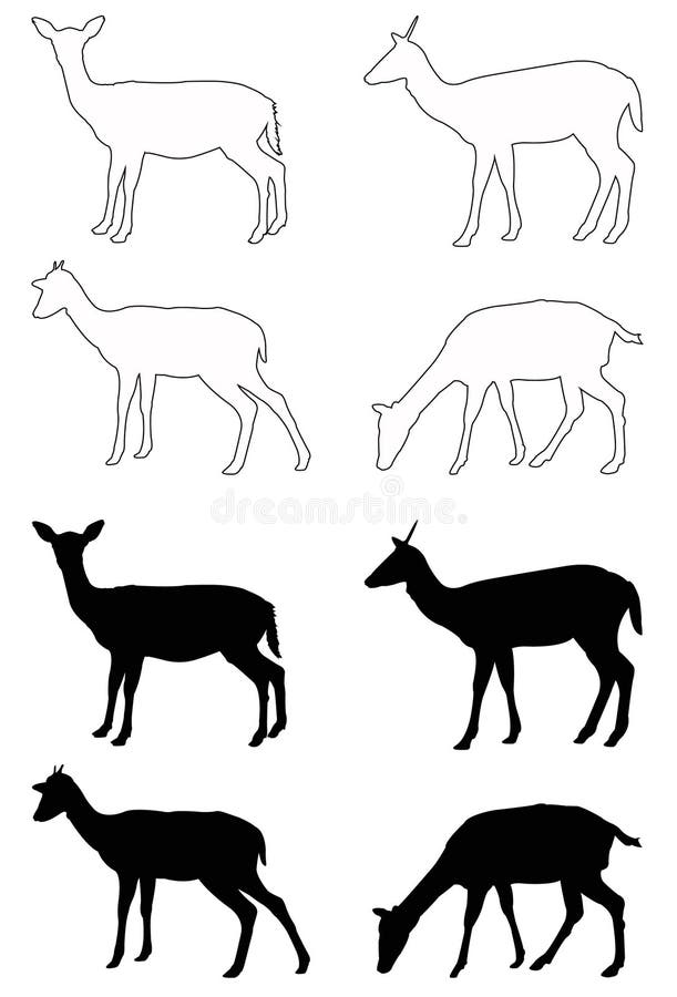Doe or Deer Silhouette - Hoofed Ruminant Mammal Stock Vector ...