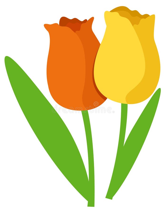 Tulips flower stock vector. Illustration of plant, file - 126288955