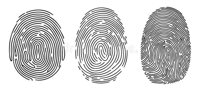 Vector Fingerprint Set of Each Finger Isolated on White Background ...