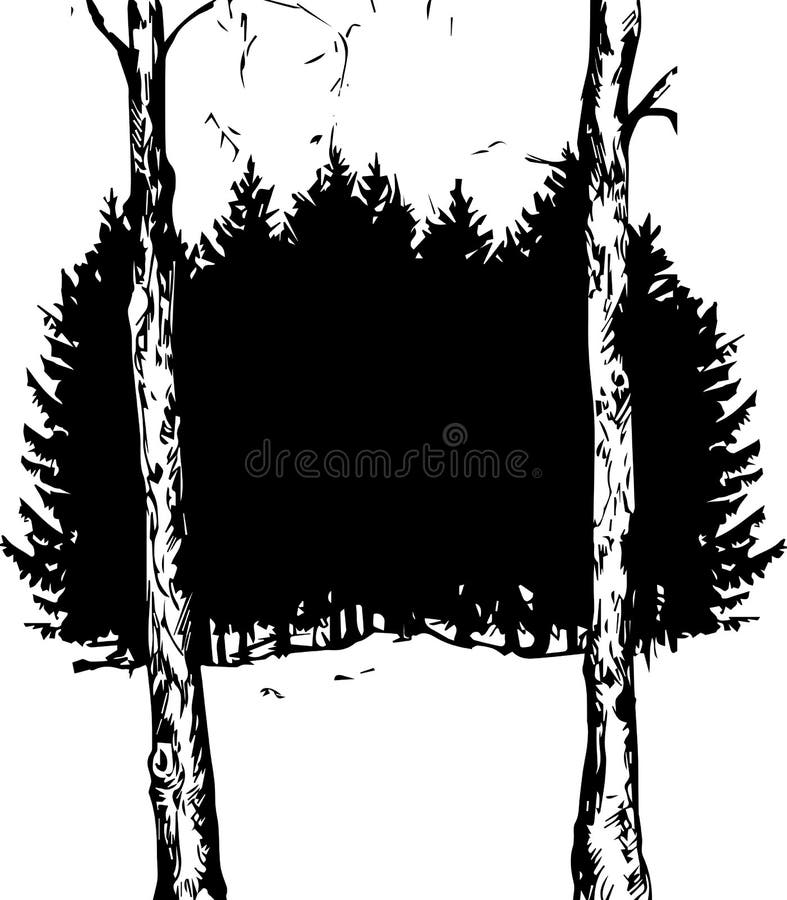 Vector fir forest stock vector. Illustration of seedling - 68778566 Vector fir forest stock vector. Illustration of seedling - 68778566