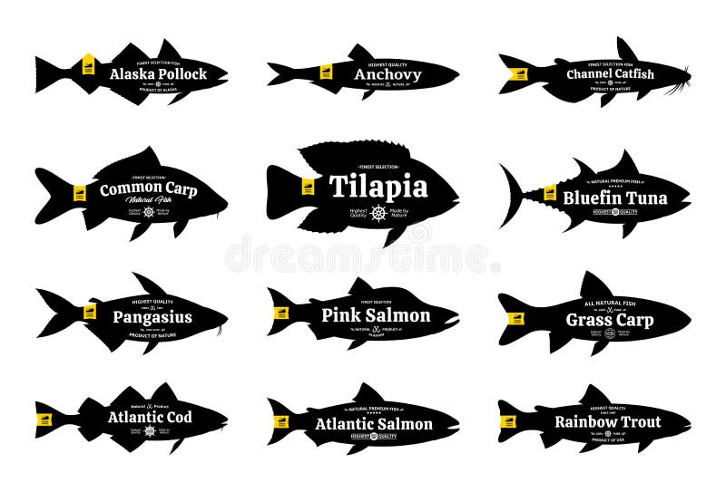 Vector Fish Round Labels and Design Elements Stock Vector ...