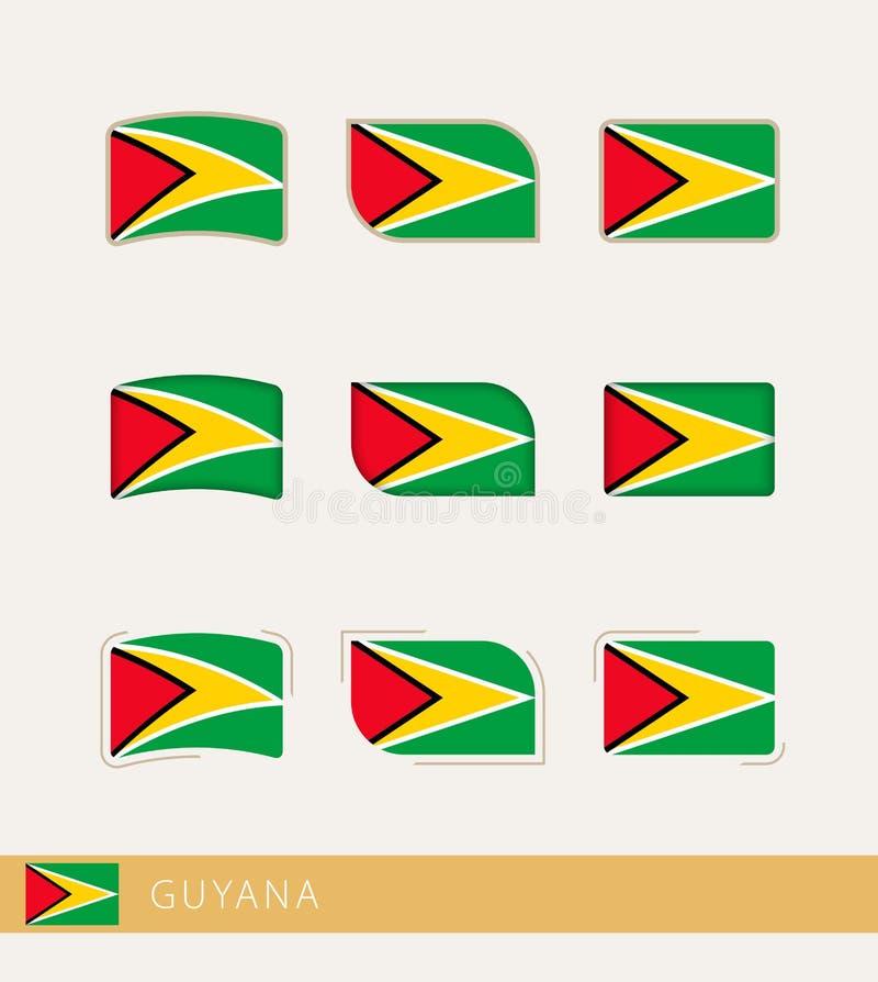 Vector Flags of Guyana, Collection of Guyana Flags Stock Vector ...