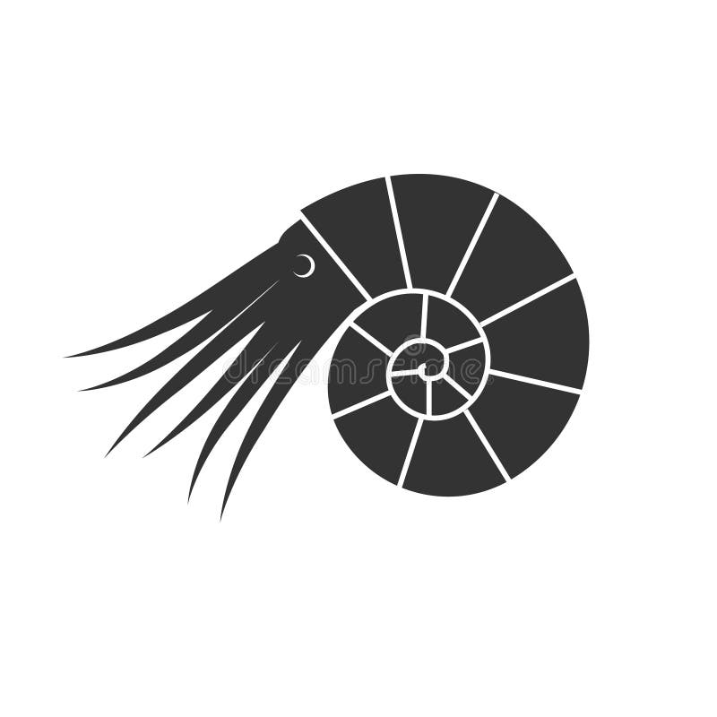 Ammonite Stock Illustrations – 406 Ammonite Stock Illustrations ...