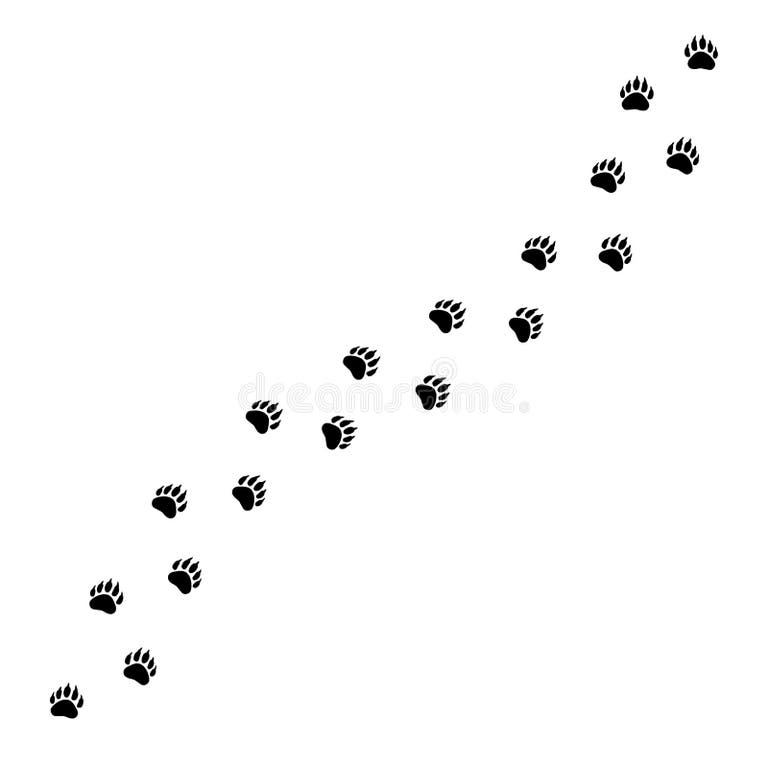 Panda Footprint Stock Illustrations – 642 Panda Footprint Stock ...