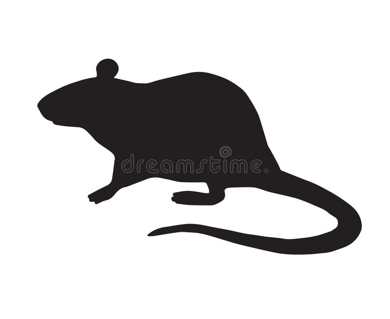 Vector Flat Black Standing Rat Silhouette Stock Illustration ...