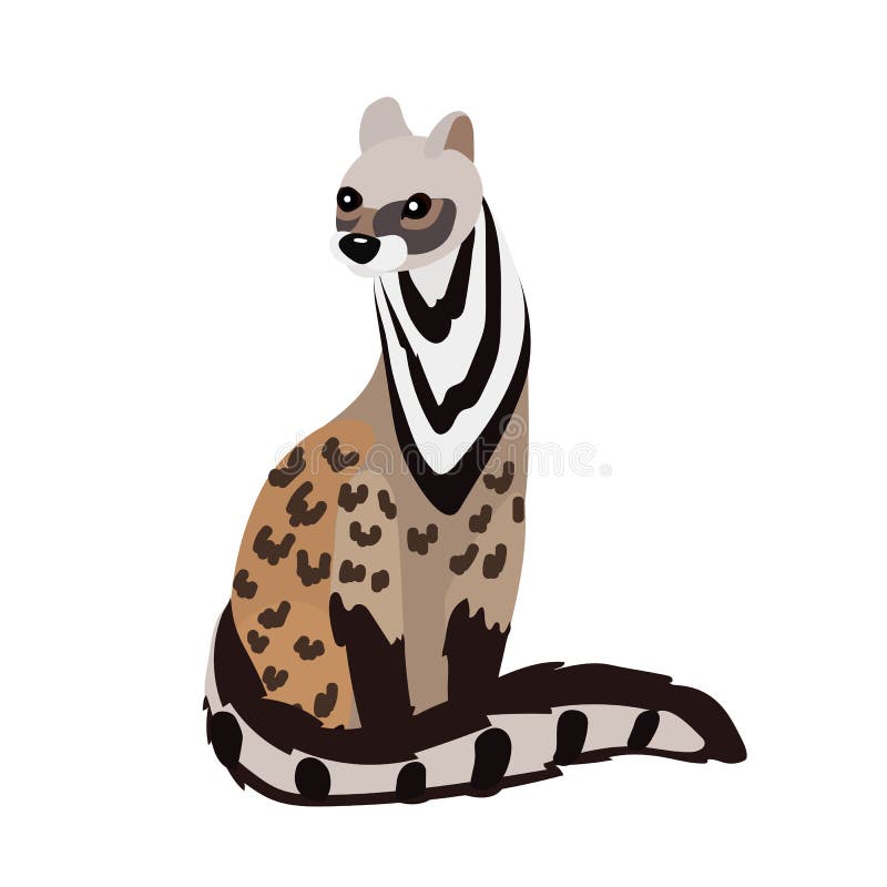 Civet Stock Illustrations – 612 Civet Stock Illustrations, Vectors ...