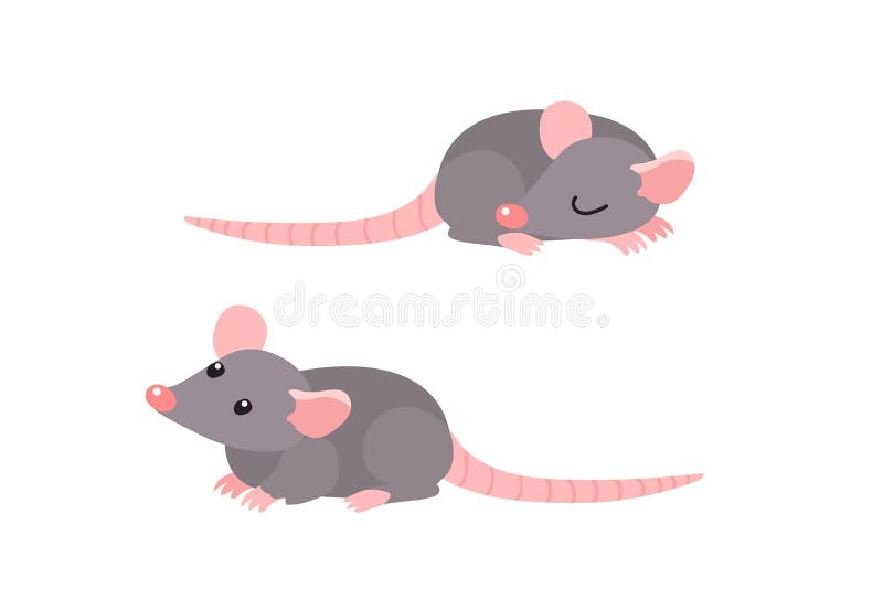 Vector Flat Cartoon Animal Clip Art Stock Vector - Illustration of ...
