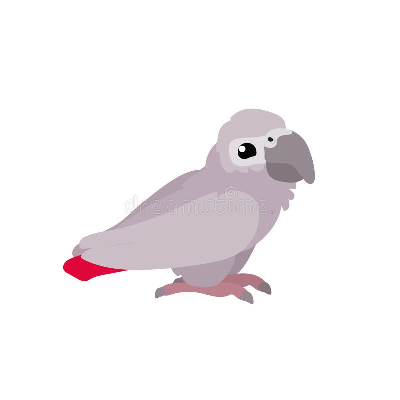 Grey Parrot Stock Illustrations – 550 Grey Parrot Stock Illustrations ...