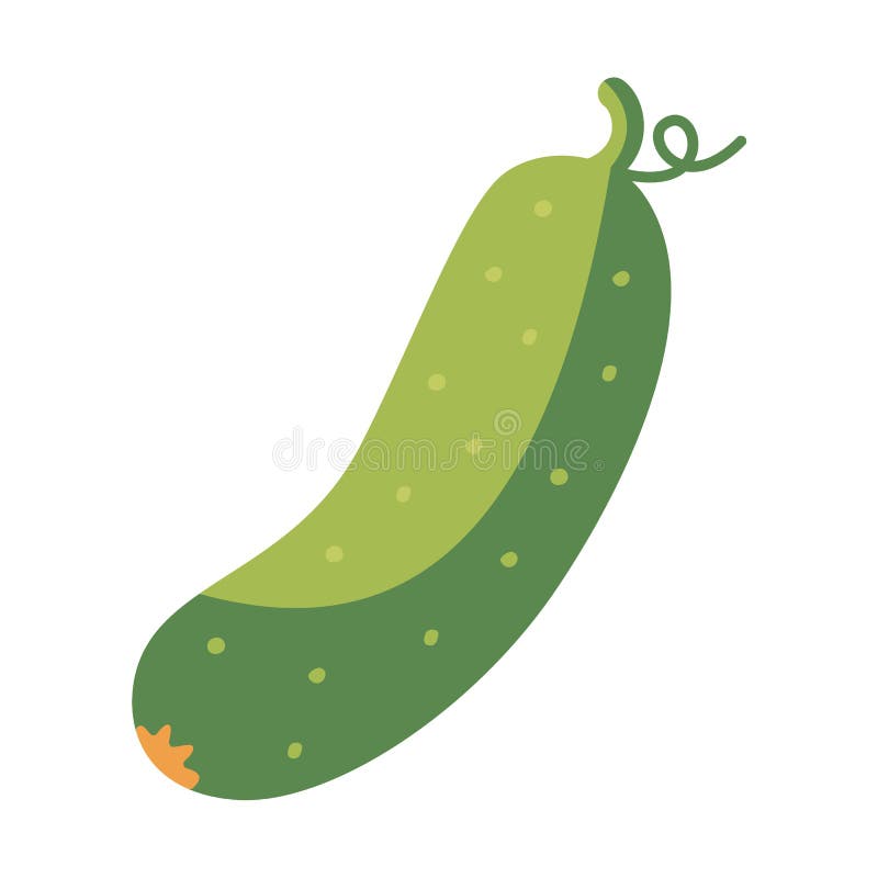 Vector Flat Cartoon Vegetable, Fresh Cucumber. Stock Vector ...
