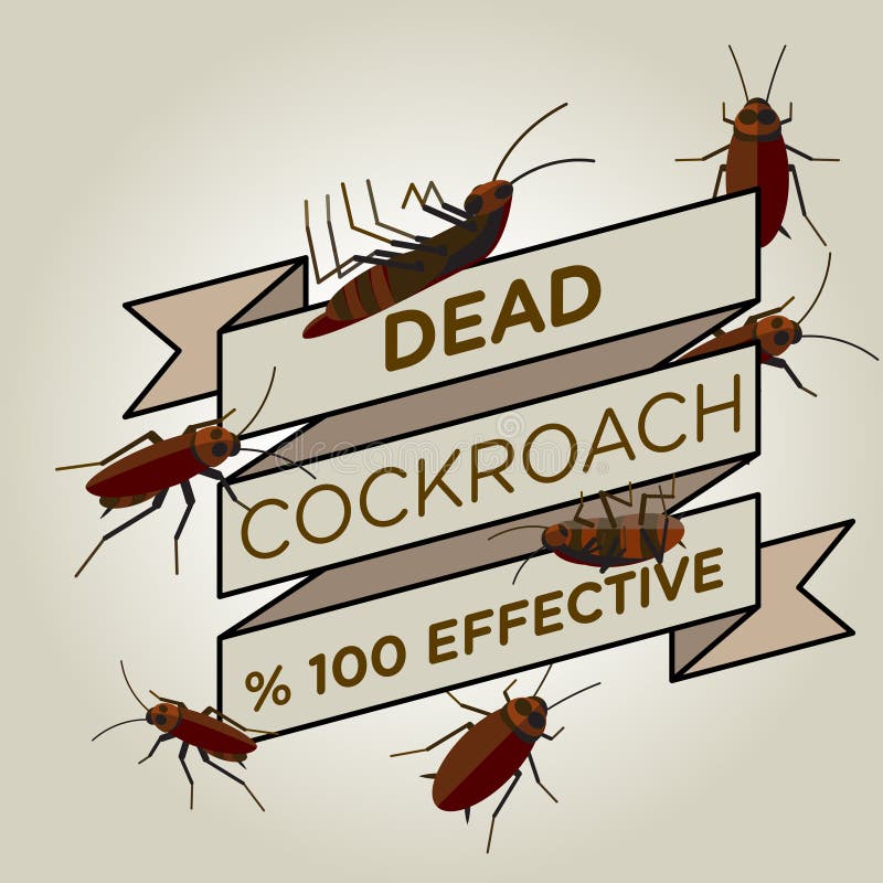 Vector Flat Cockroach Ribbon Badge Banner Stock Vector - Illustration ...