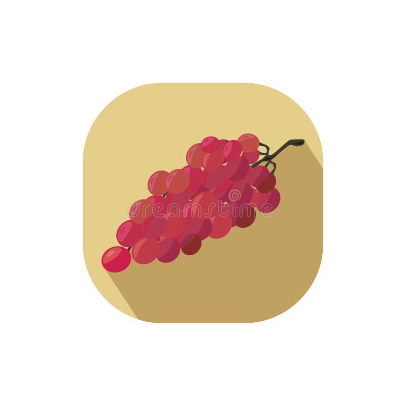 Flat design Red Grapes stock illustration. Illustration of freshness ...