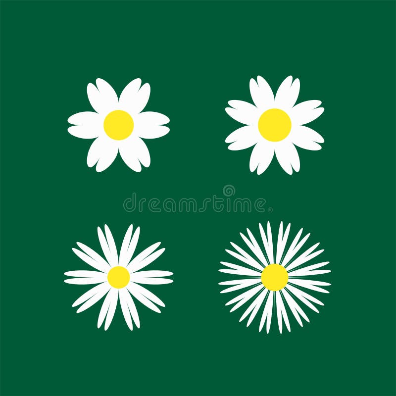 Vector Flat Flower Collection Stock Vector - Illustration of natural ...