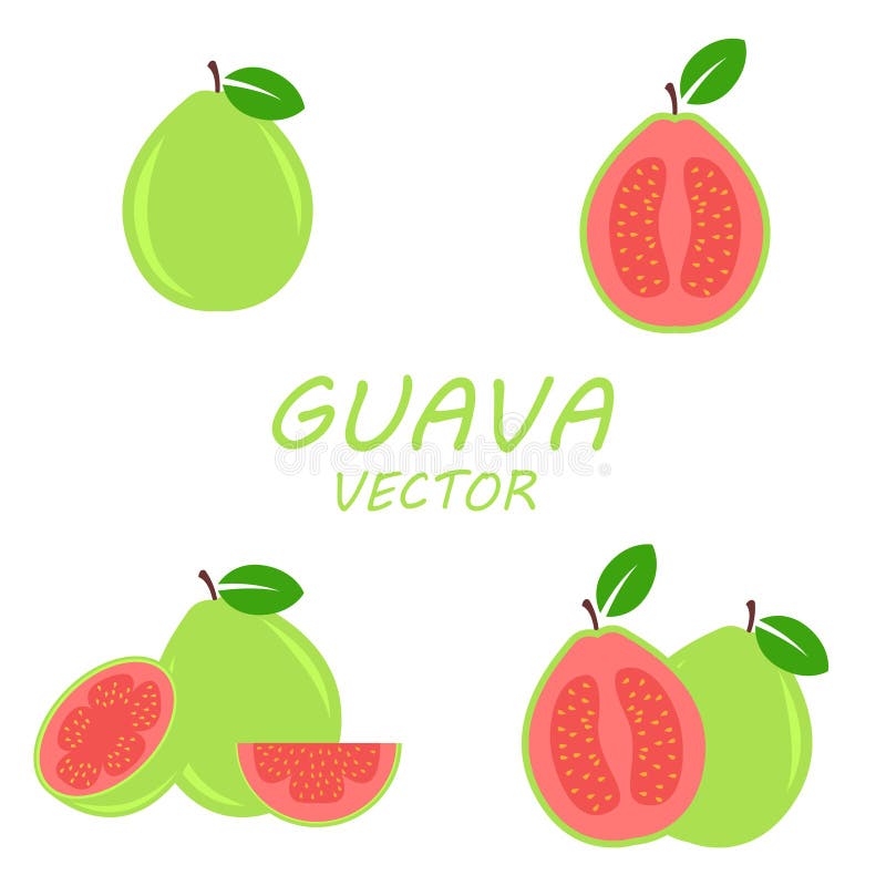 Guava icons set color stock illustration. Illustration of food - 124210242 Guava icons set color stock illustration. Illustration of food - 124210242
