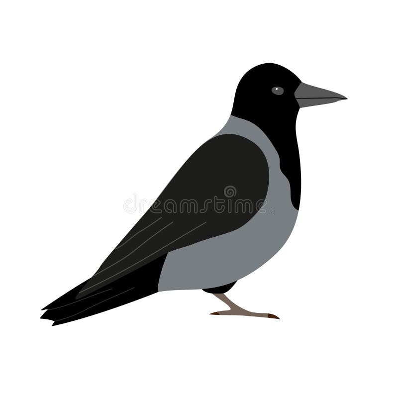 Vector Flat Hand Drawn Crow Stock Illustration - Illustration of ...