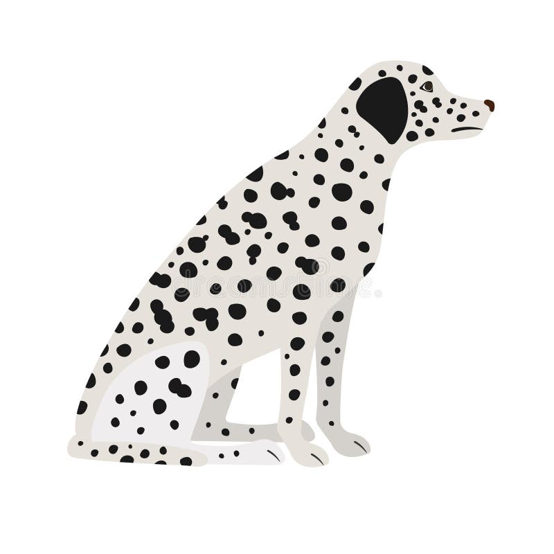 Vector Flat Hand Drawn Dalmatian Dog Stock Illustration - Illustration ...