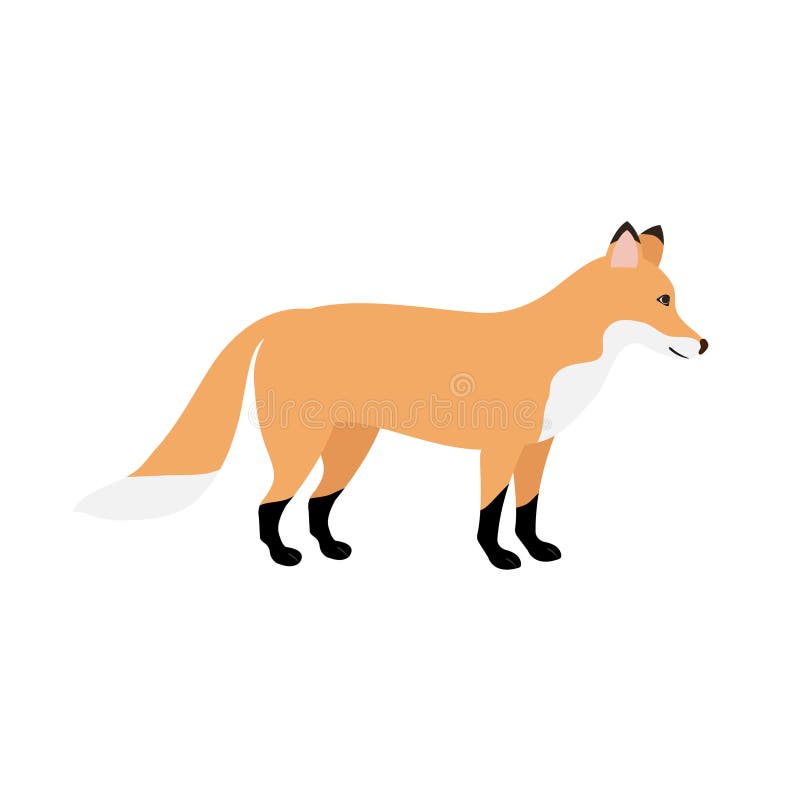 Vector flat hand drawn fox stock vector. Illustration of cartoon ...