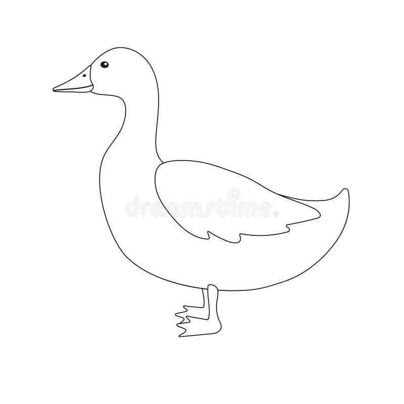 Vector Flat Hand Drawn Outline Duck Stock Illustration - Illustration ...