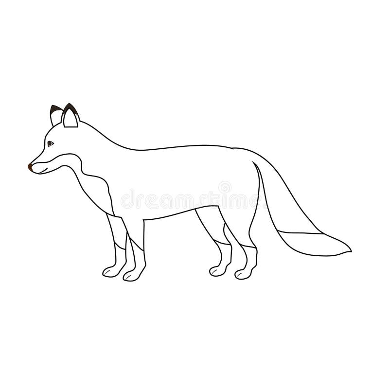 Vector Flat Hand Drawn Outline Fox Stock Vector - Illustration of foxy ...