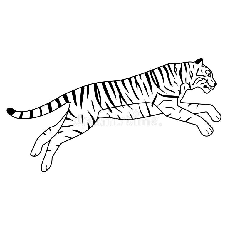 Vector Flat Hand Drawn Outline Jumping Tiger Stock Illustration ...