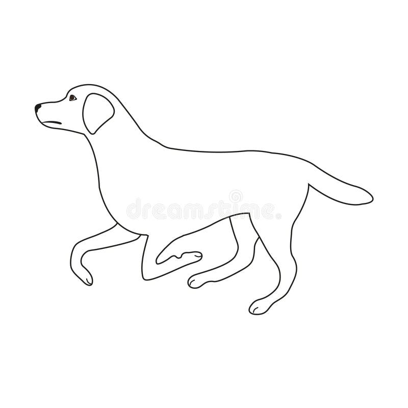 Vector Flat Hand Drawn Outline Labrador Dog Stock Vector - Illustration ...