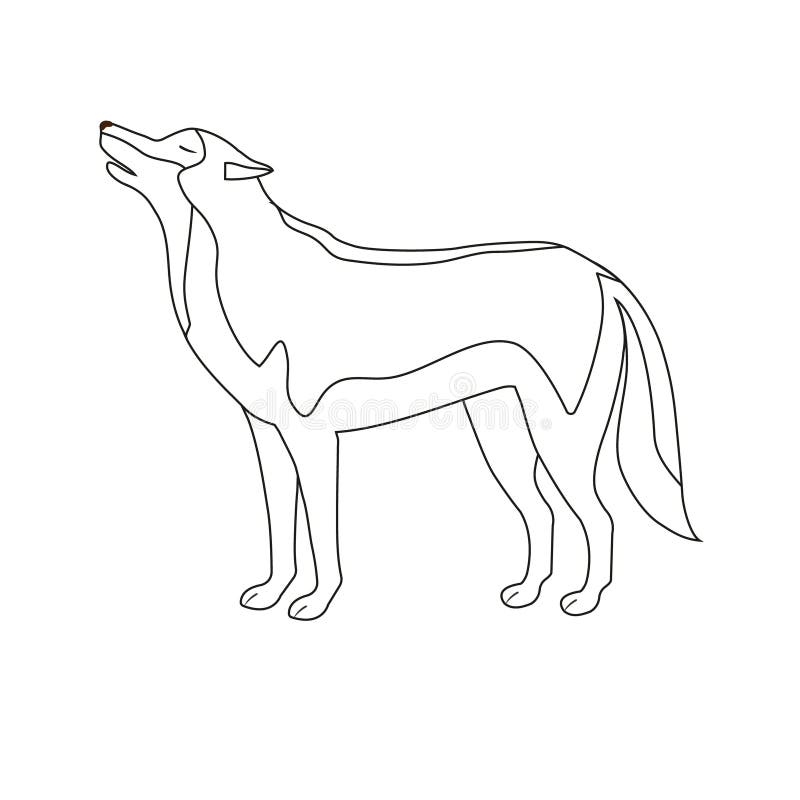 Wolf Outline Drawing 400 Best Wolf Sketch Ideas | Wolf Sketch, Wolf