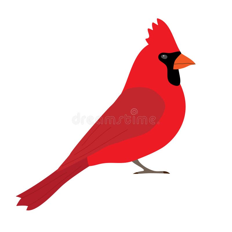 Vector Flat Hand Drawn Red Cardinal Bird Stock Vector - Illustration of ...