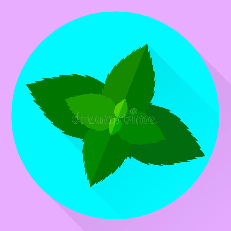Vector Flat Icon Mint Leaves, Green, Blue Stock Vector - Illustration ...