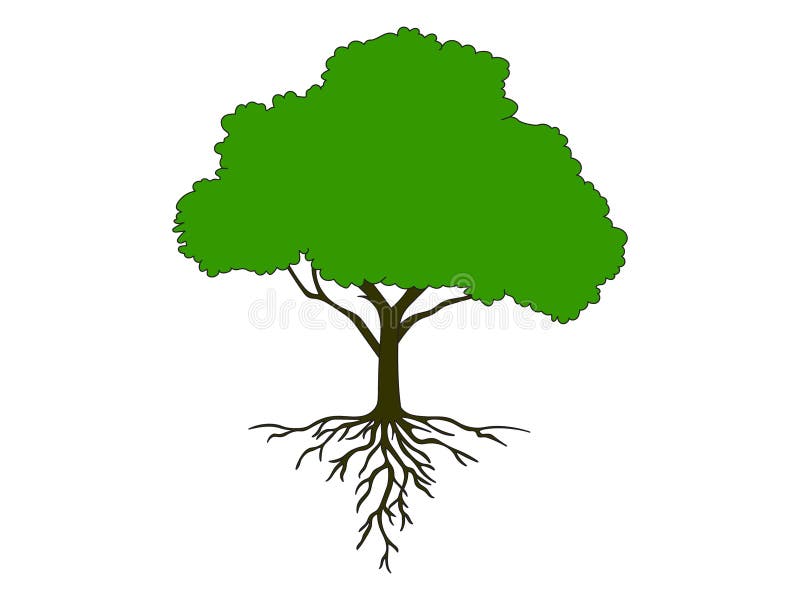 Vector Flat Illustration of a Green Tree with Roots Stock Vector ...