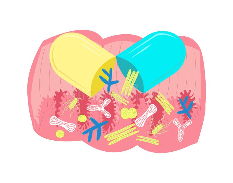Vector Flat Illustration of Open Probiotic Capsule Stock Vector ...