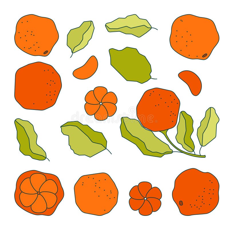 Vector Flat Illustration Set with Orange Citrus Fruit, Slice and Leaf ...