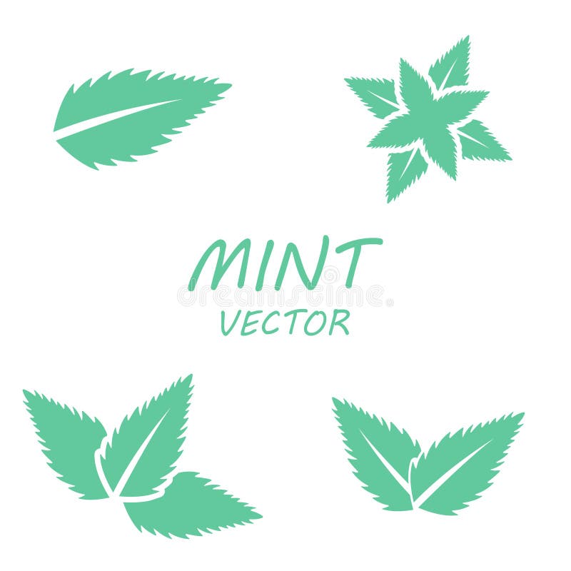 Vector flat mint icons set stock illustration. Illustration of icon ...