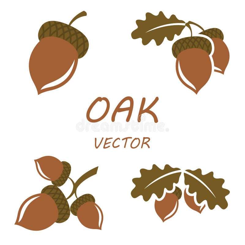Vector flat oak icons set stock illustration. Illustration of season ...