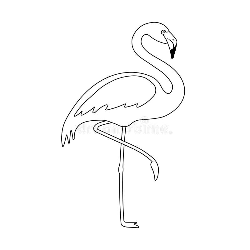 Vector Flat Outline Flamingo Stock Vector - Illustration of print ...