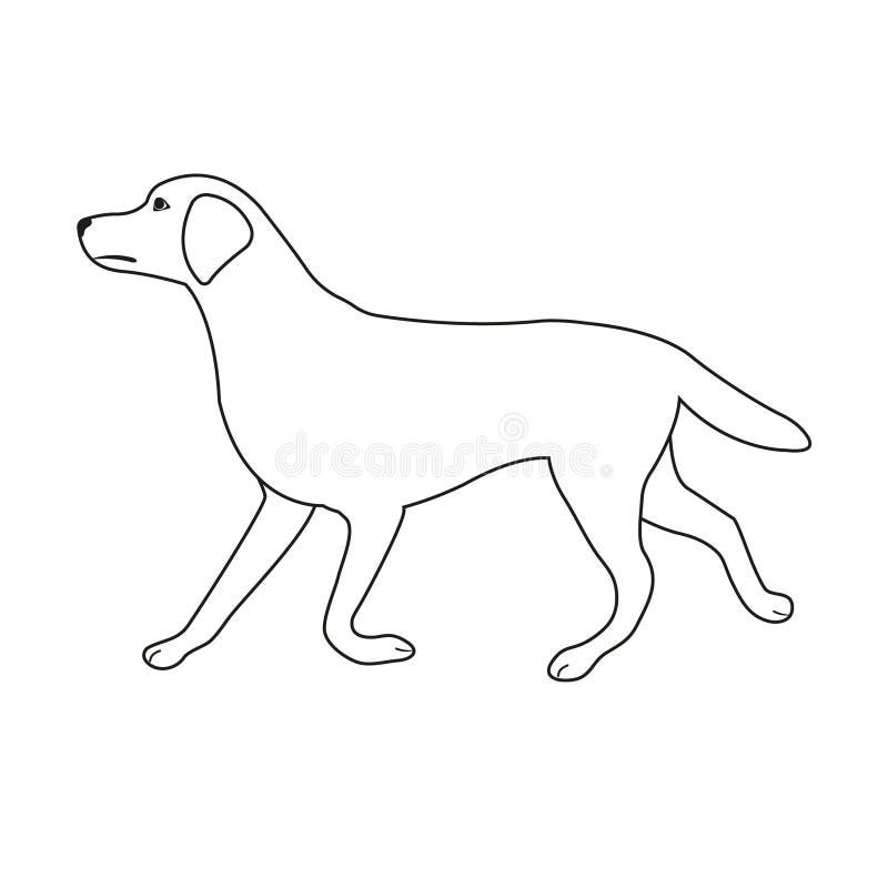 Vector Flat Outline Labrador Retriever Dog Stock Vector - Illustration ...