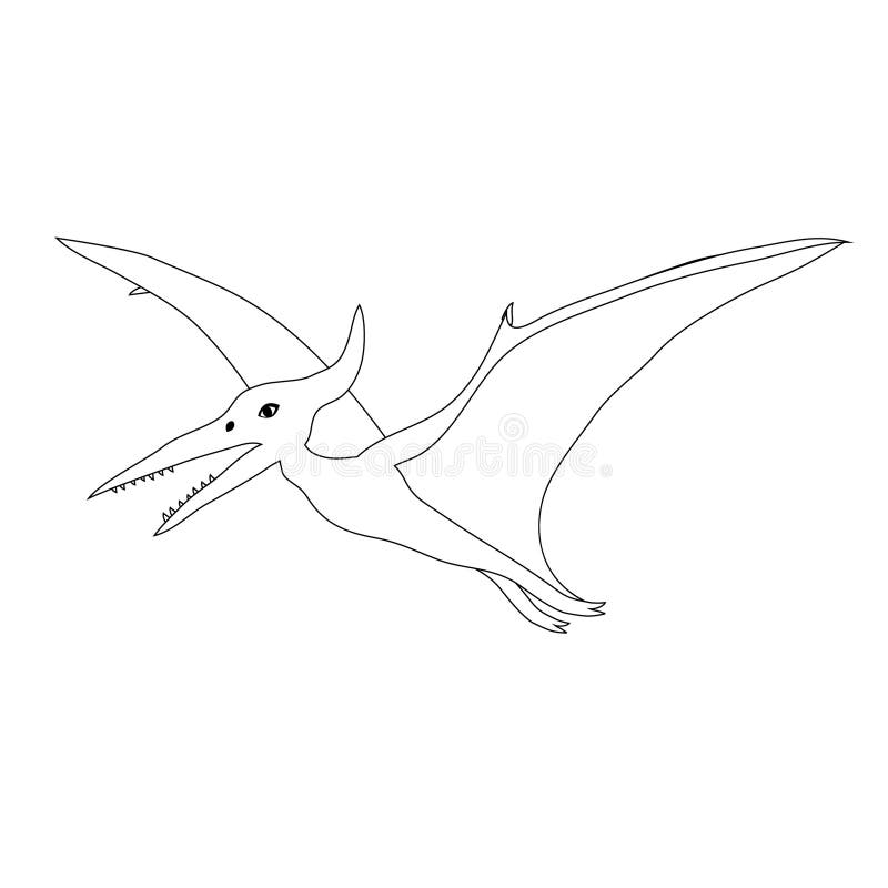 Pterodactyl Outline Stock Illustrations – 985 Pterodactyl Outline Stock Illustrations, Vectors ...