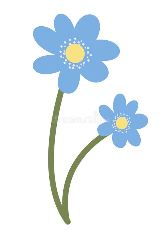 Vector Flat Simple Hepatica Isolated on White Background. Spring Flower ...