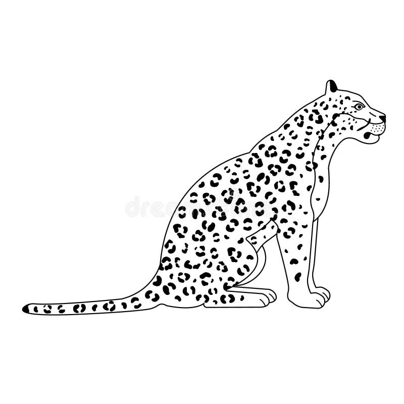 Vector Flat Sitting Leopard Stock Vector - Illustration of element ...